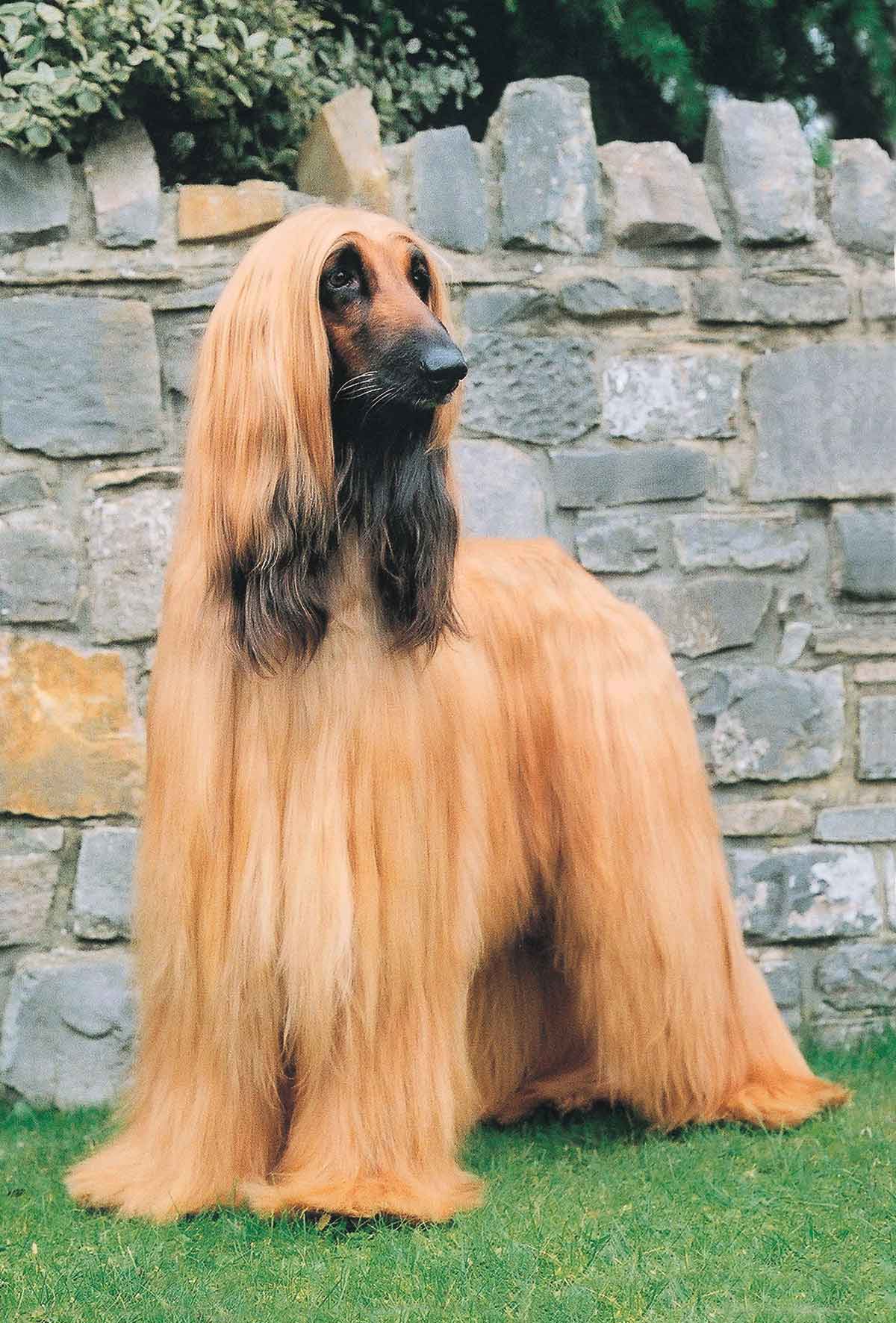 Bondor History - The Present Day