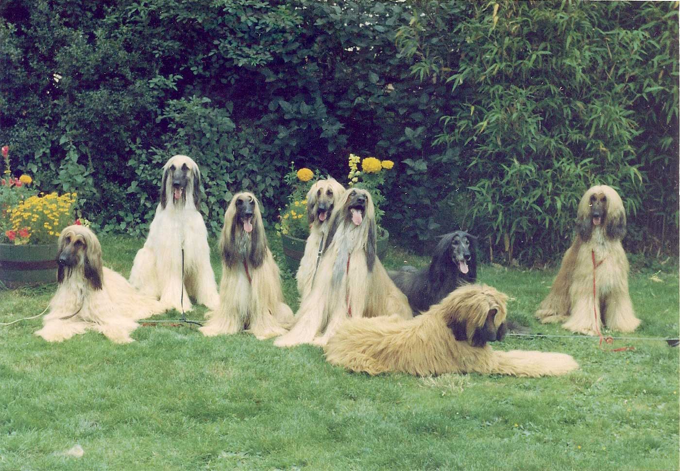 Bondor History - The 70's